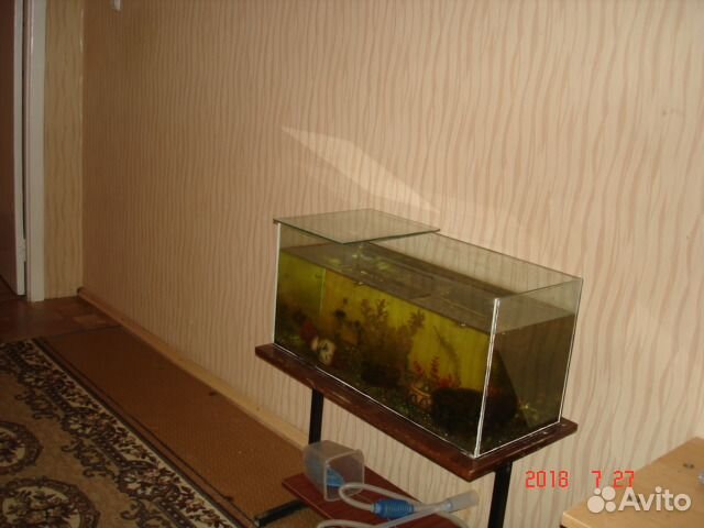 Аквариум
