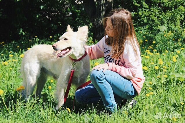 Манни ищет семью