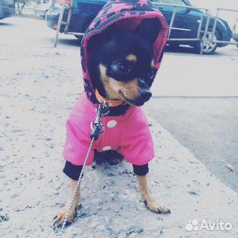 Приглашаем на вязку