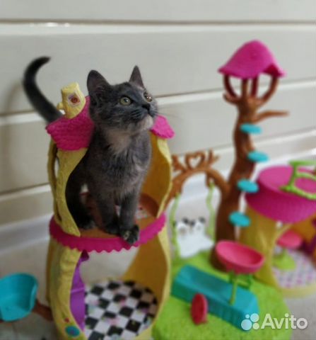 Мурзилка, 3 месяца