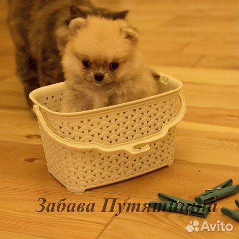 Девочка на подушку