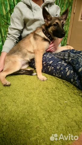 Девочка три с половиной месяца