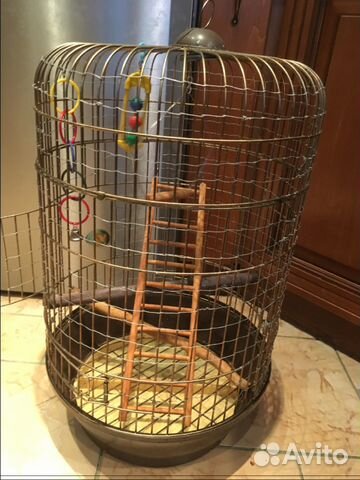 Волнистые попугаи с клеткой