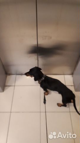 Ваш самый страшный кошмар