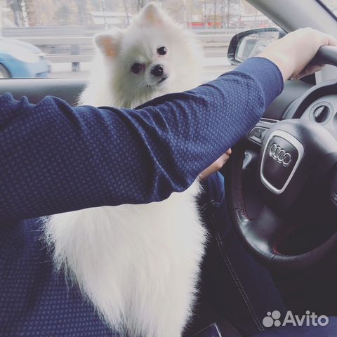Вязка
