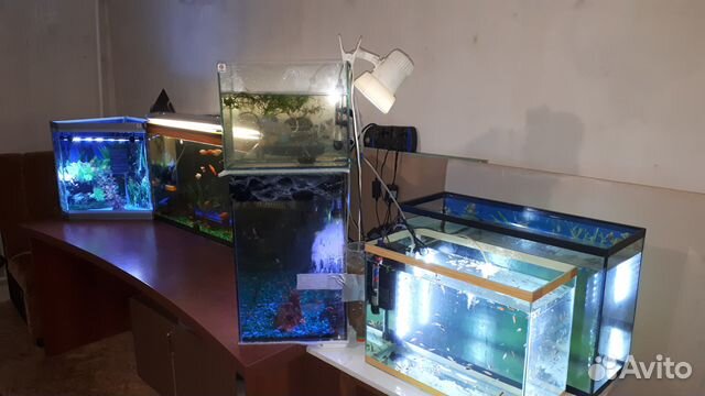 Продам работающий аквариум с рыбоми