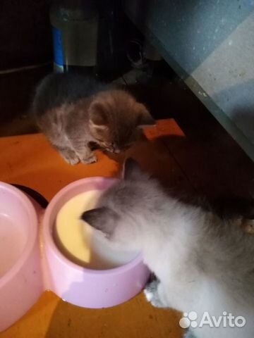 Лучший подарок для ребенка