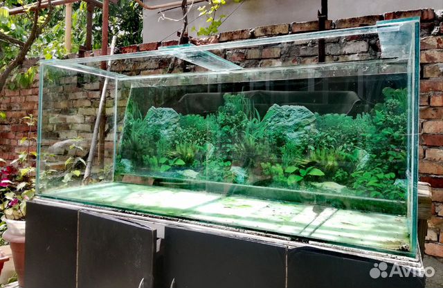 Продам аквариум
