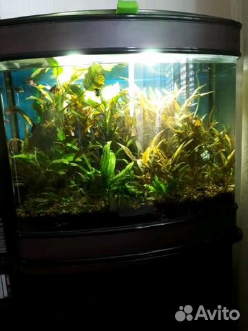 Аквариум 180л