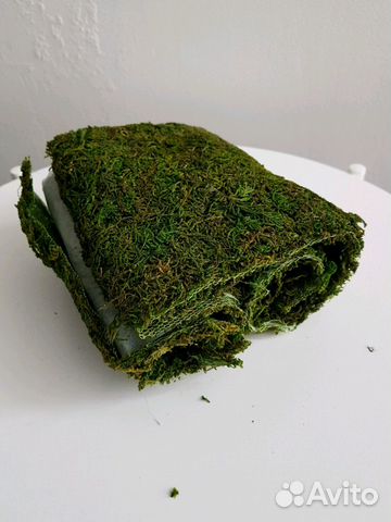 Мох на сетке