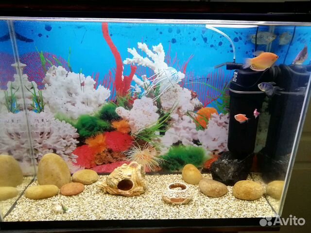 Аквариум 105литров.со всем содержимым