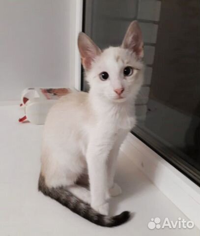 Косоглазый мальчишка, 3,5 месяца