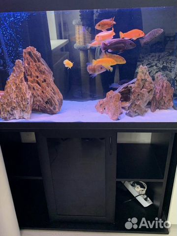 Аквариум 200 л AquaPlus lux + тумба + 6 ламп