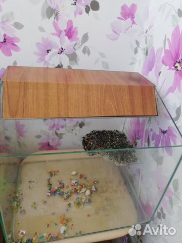 Аквариум для черепах