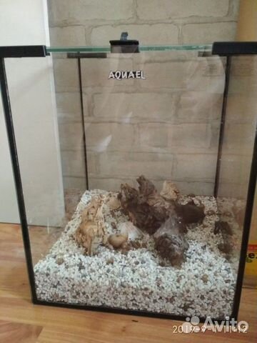 Криветочник