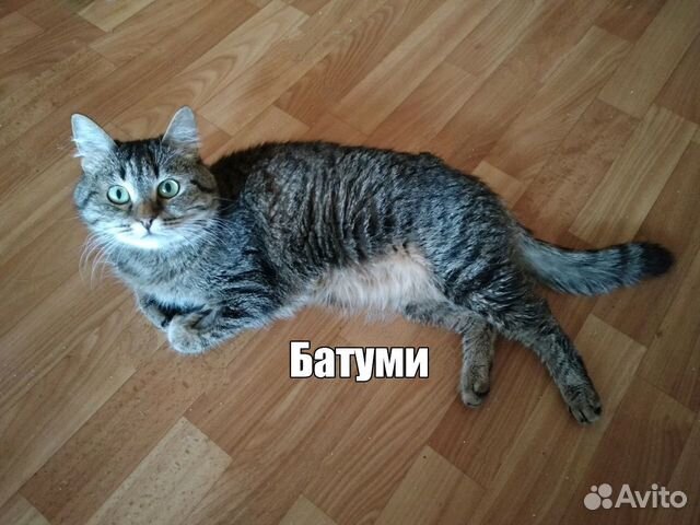 Батуми в добрые руки