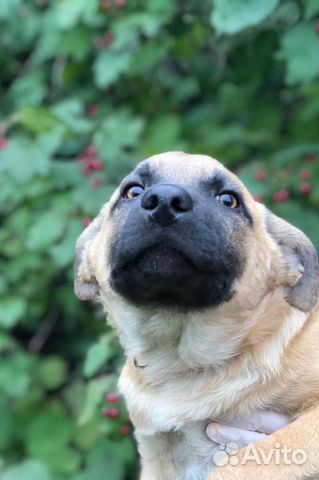 Малыш, 4 месяца, в добрые руки