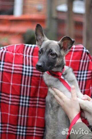 Две девочки сестренки 4мес