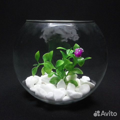 Аквариумы, декор, растения