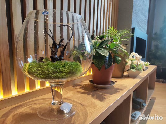 Аквариум бокал 5л новый