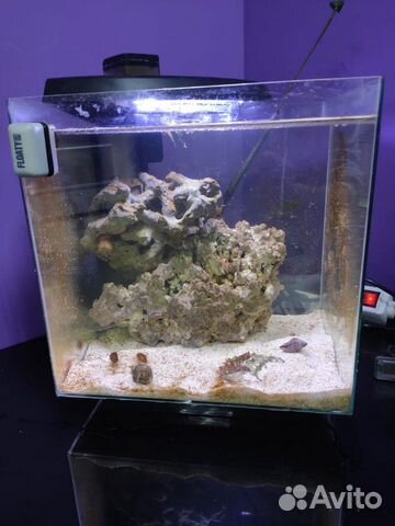 Минни морской аквариум 30л