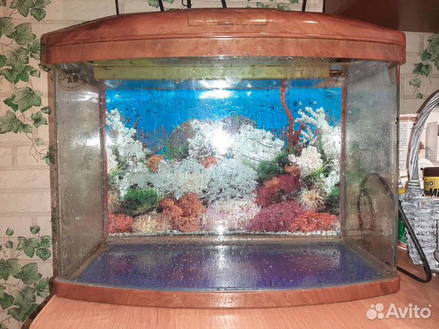 Аквариум 40 литров с освещением