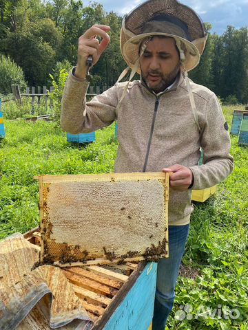 Пчелопакеты 2023