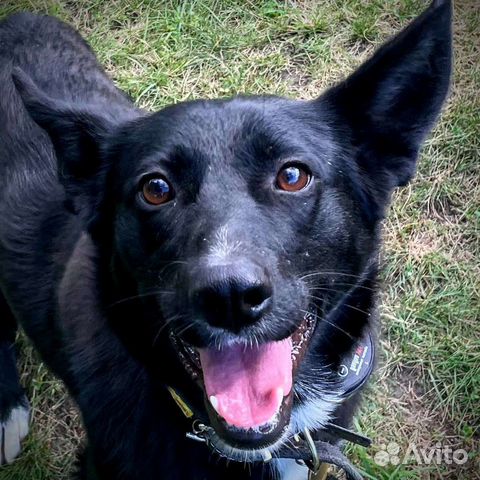 Молоденькая, обнимательная, красивая