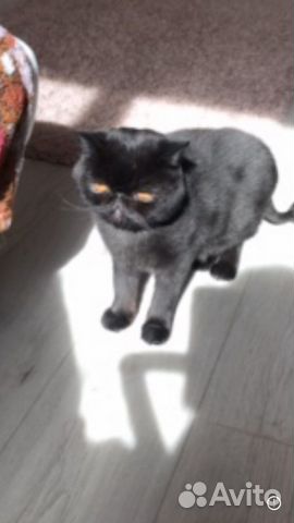 Экзотическая