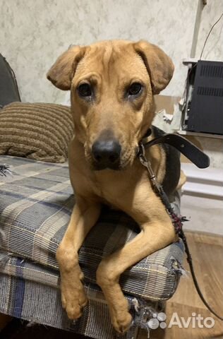 Девочка 8мес