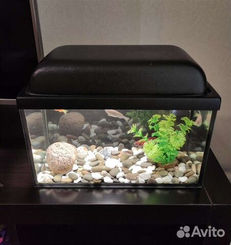 Аквариум 7 литров