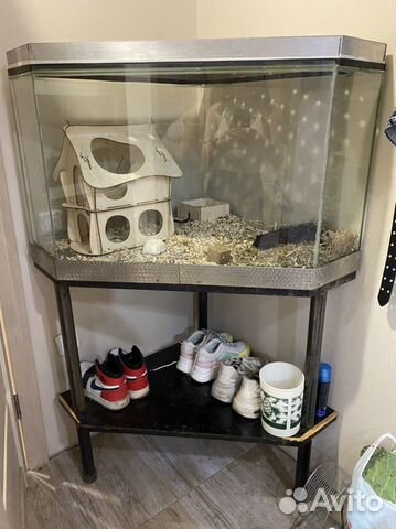 Террариум с песчанками