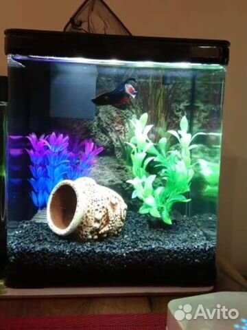 Аквариум 7 литров prime