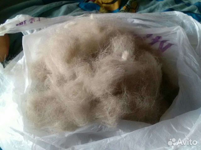 Шкурка животного