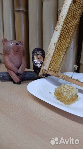 Продажа пчеломаток