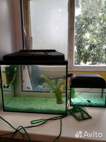 Аквариумы с рыбками