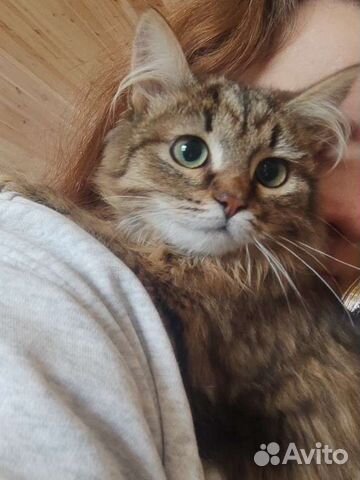 Подари мне дом