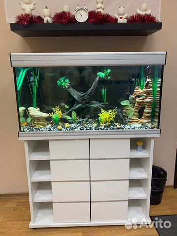 Аквариум с рыбками Фильтр для аквариума