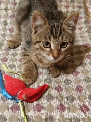 Очень красивый мальчишка