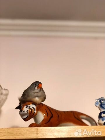 Зебровые амадины пара + клетка