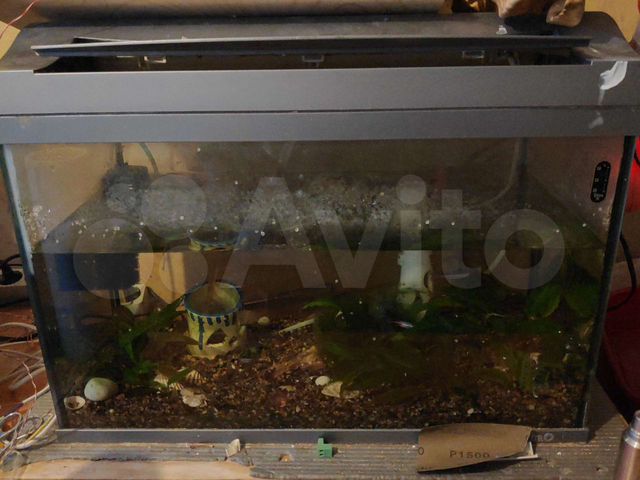 Отдам аквариум в добрые руки