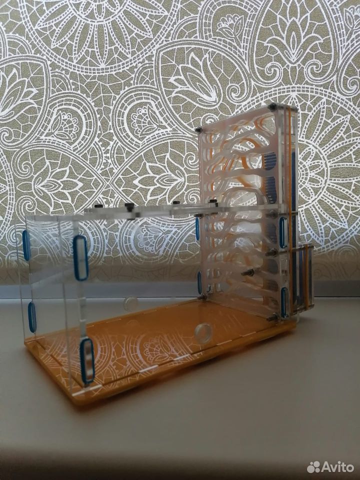 Террариум для муравьёв