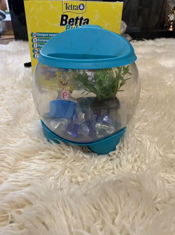 Аквариум Tetra Betta Bubble