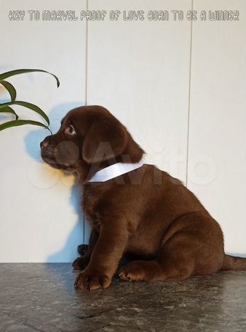 Только для самых ответственных