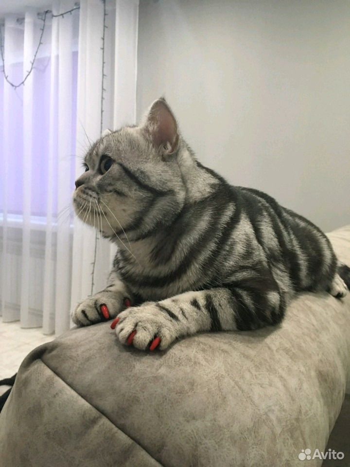 Вязка
