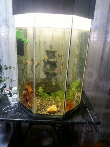 Аквариум 140 л