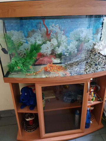 Аквариум 170 литров с тумбой